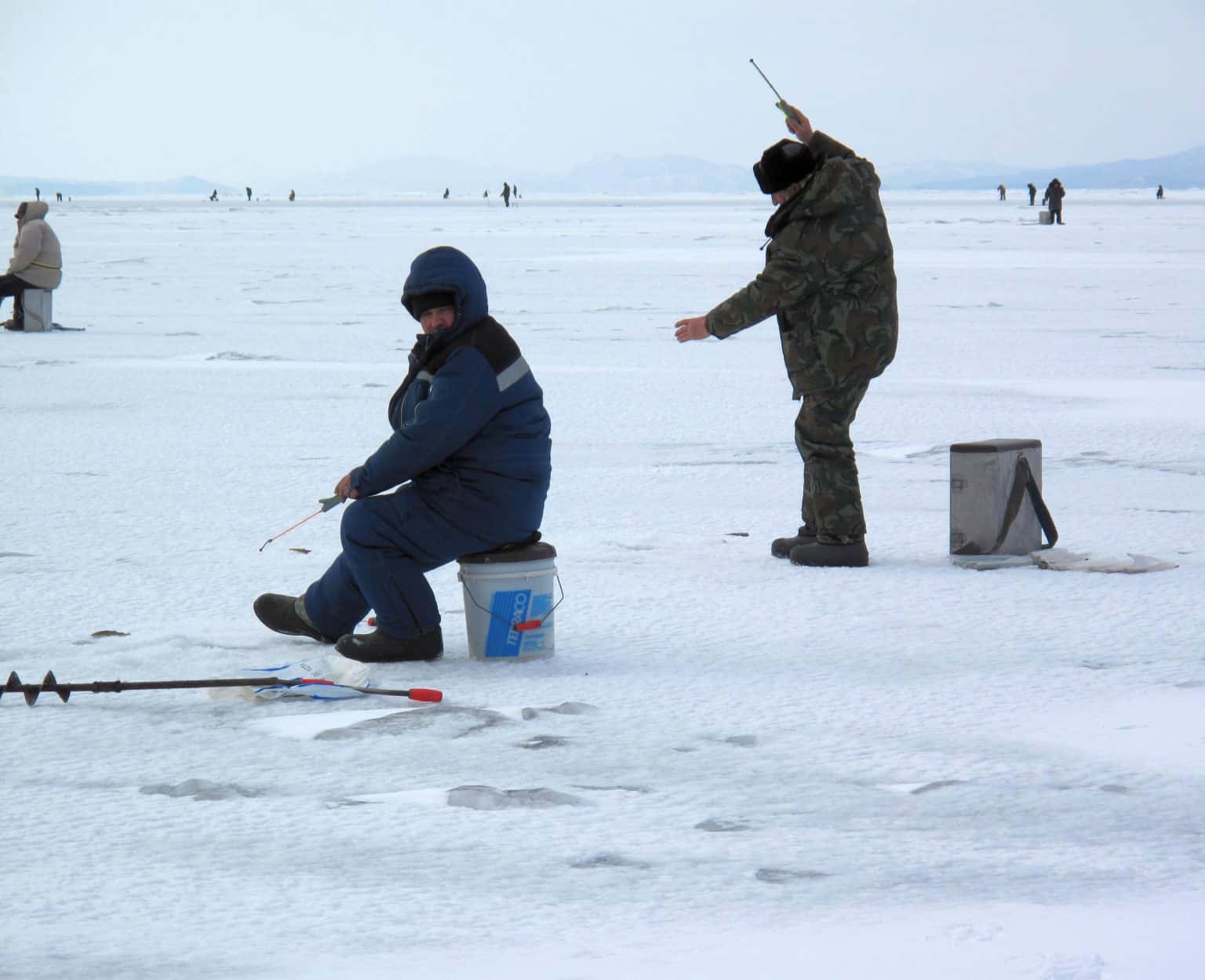Jak wygląda stynka, rodzaje pisuchy, gdzie mieszka ryba, jak ją złowić ...